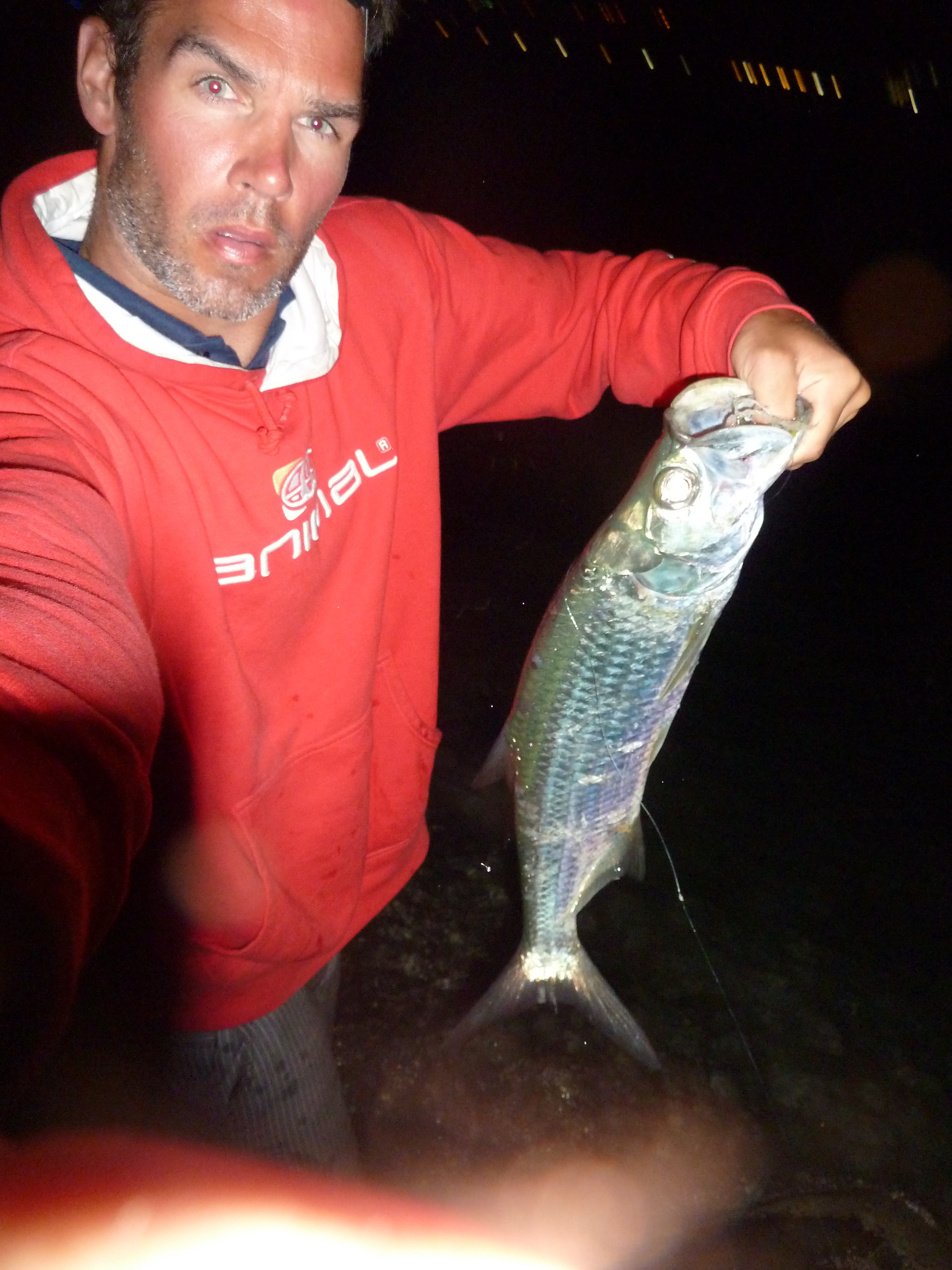 Jaktsidans flugfiskare - Övriga Hobbies - Jaktsidan