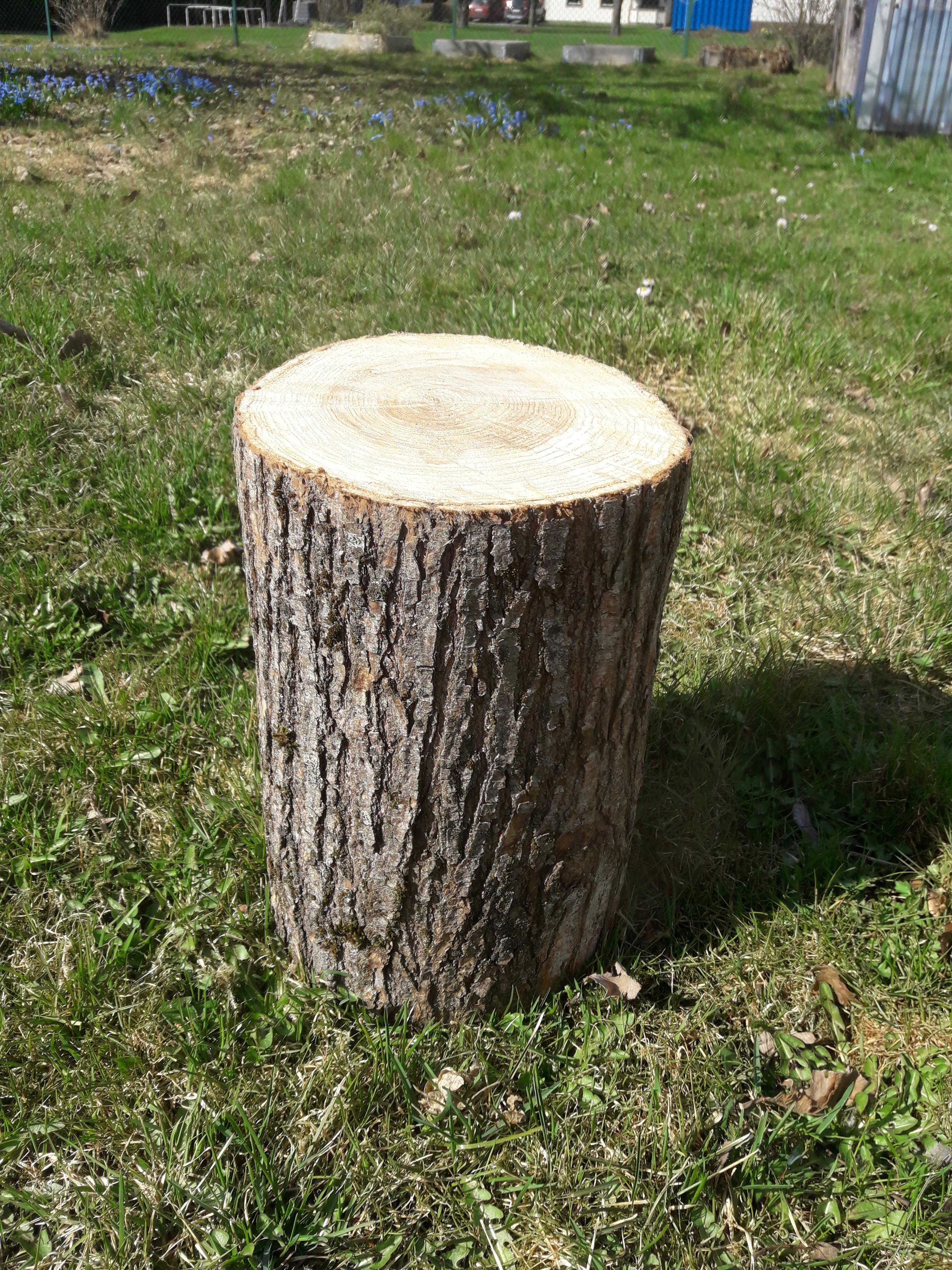 Ny stubbe ? - Pågående Projekt - Jaktsidan